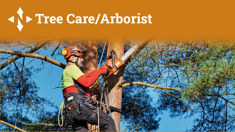 Tree Care/Arborist Village – Northern Green